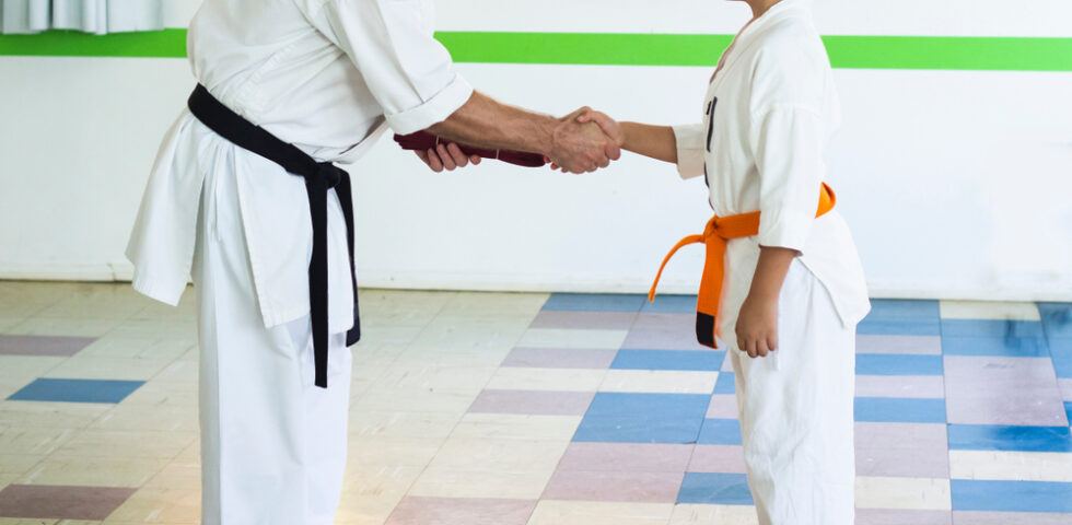 Mastering The Karate Orange Belt Exam: Our Journey - The Karate Twins