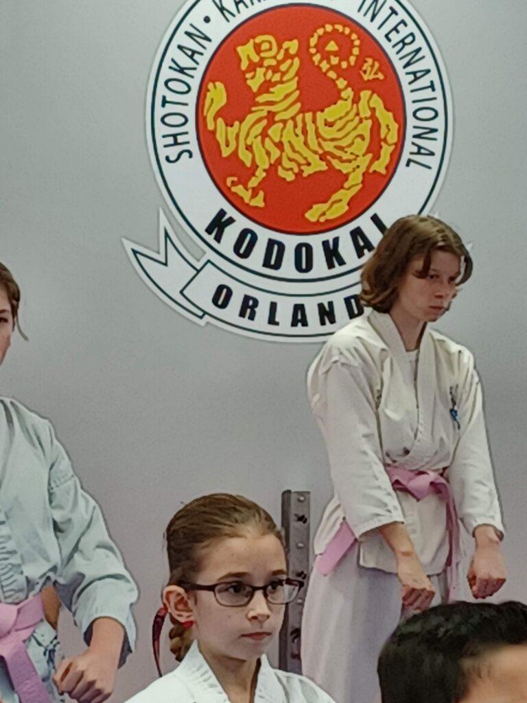 About The Karate Twins - The Karate Twins