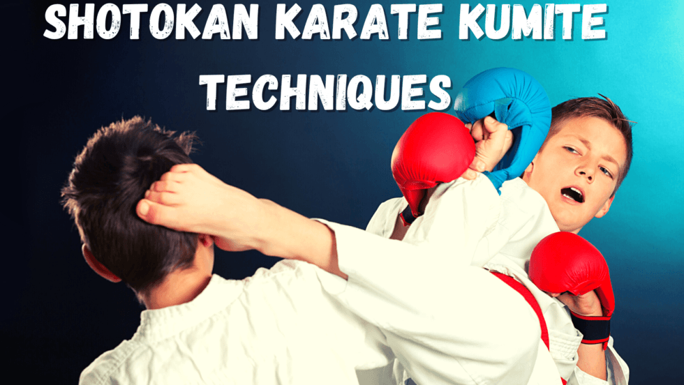 Shotokan Karate Kumite Techniques - The Karate Twins