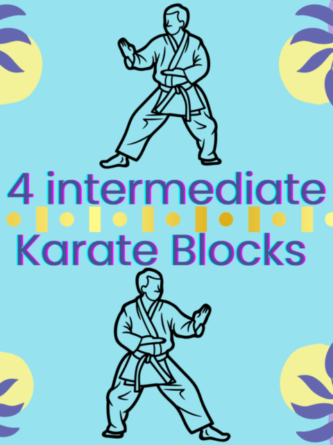 The Karate Twins