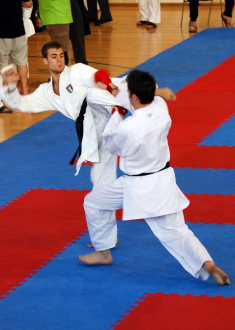 Shotokan Karate Kumite Techniques - The Karate Twins