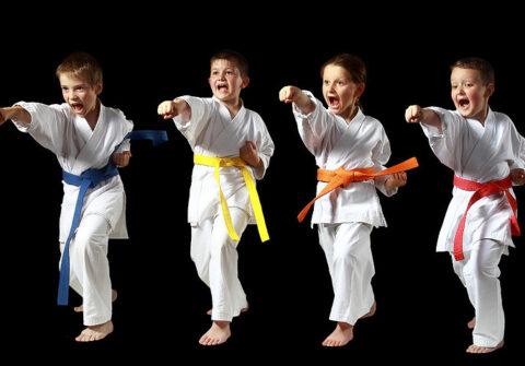 The Ranks of Shotokan Karate Belt Colors - The Karate Twins