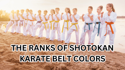 The Ranks of Shotokan Karate Belt Colors - The Karate Twins